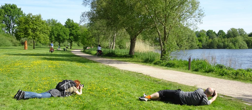 Lütte Story - Alex auf Film-Safari im Landkreis Rotenburg - nordwärts