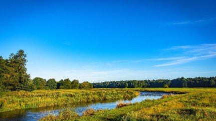 Moränenlandschaft Geest & Kulturlandschaft Heide - nordwärts