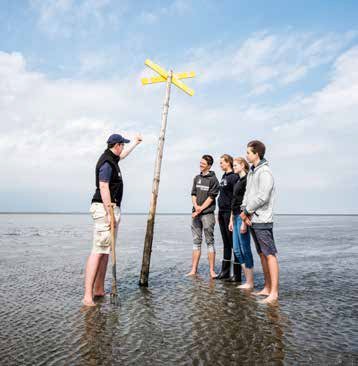 Radwanderweg "Vom Teufelsmoor zum Wattenmeer" - Region