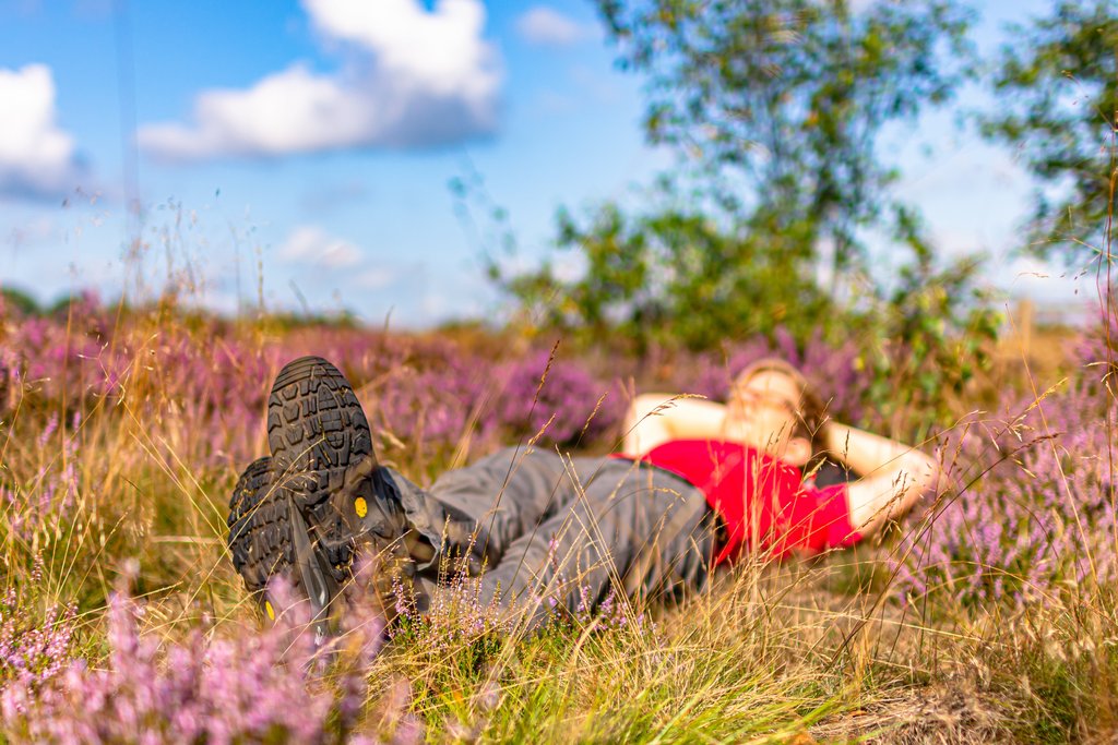 Moränenlandschaft Geest & Kulturlandschaft Heide - nordwärts